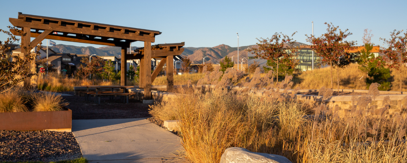 Sterling Ranch - Littleton Real Estate