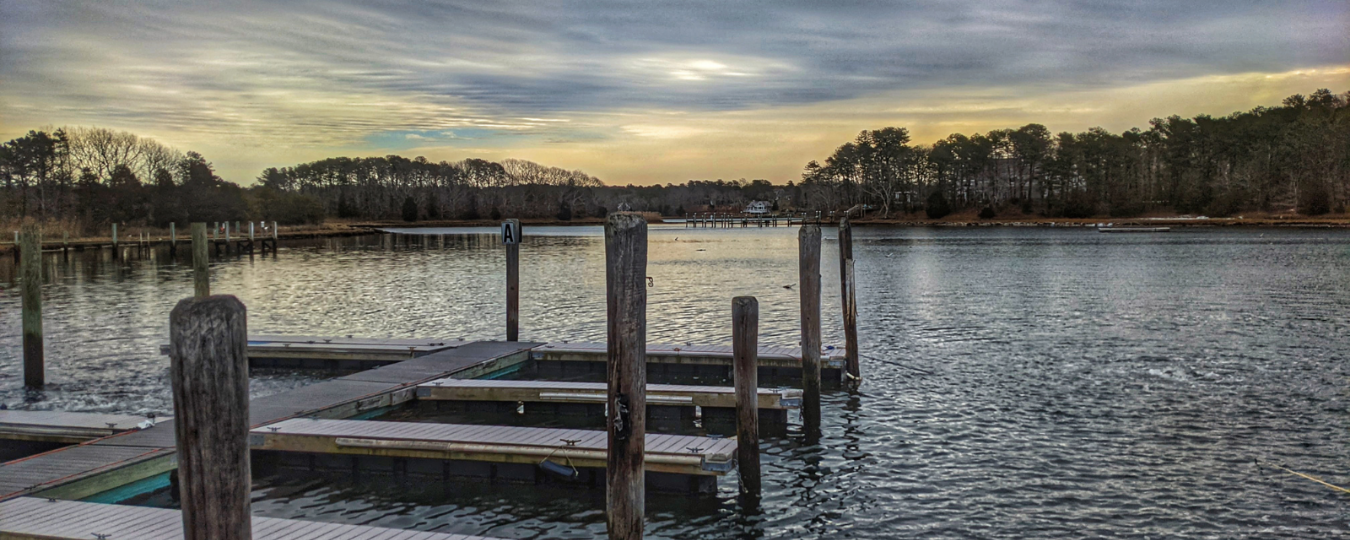 Grant Ranch - Littleton Real Estate